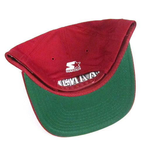 Vintage Arkansas Razorbacks Starter Snapback Hat NWT NCAA Football 90s ...