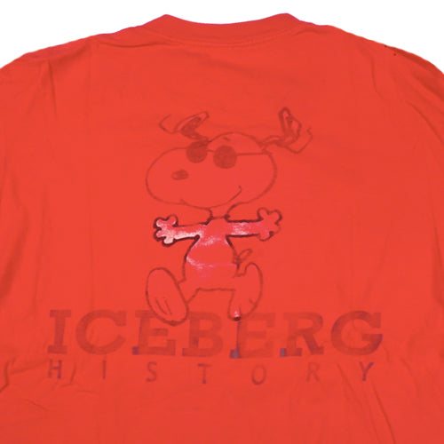Vintage Iceberg History Snoopy T-shirt 90s Hip Hop Rap – For All To Envy