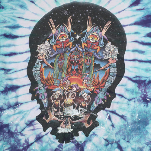 Vintage Jester Tees Grateful Dead T-shirt 1991 Rock Tie Dye – For All ...