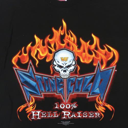 Vintage Stone Cold Hell Raiser T-Shirt Steve Austin 3:16 WWF Wrestling ...